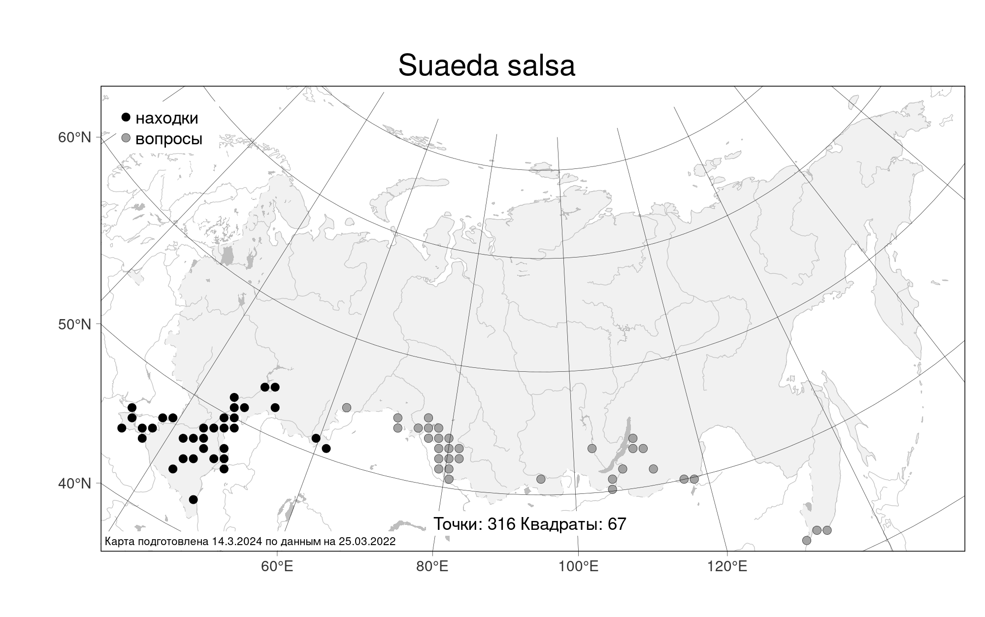 MW0631909, Suaeda salsa (Сведа солончаковая), specimen